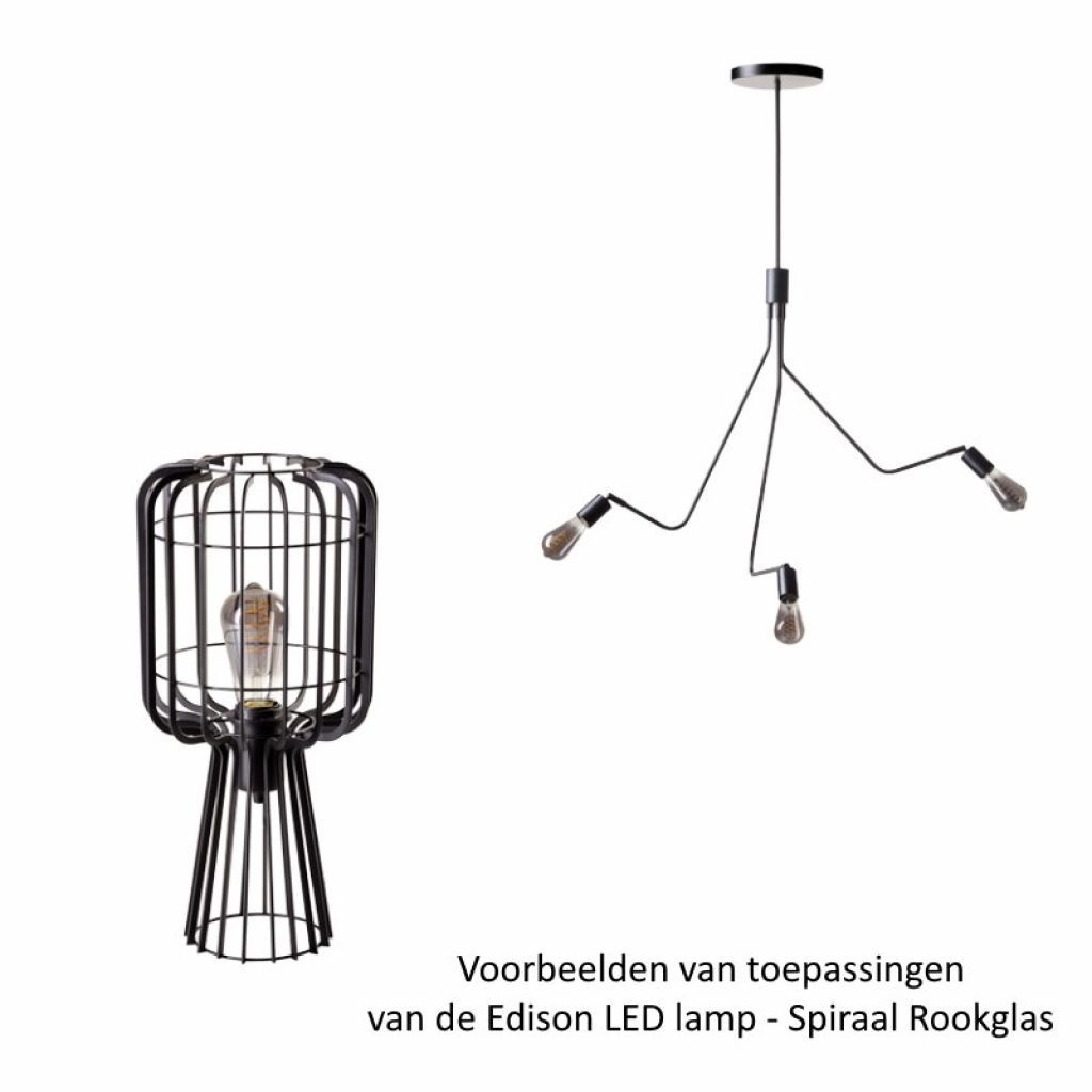 Edison LED Lamp met Spiraal | Dimbaar